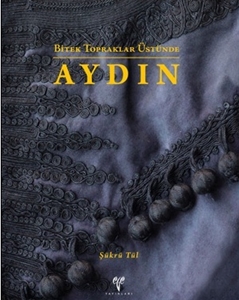 Bitek Topraklar Üstünde Aydın - Arkhe Dergisi